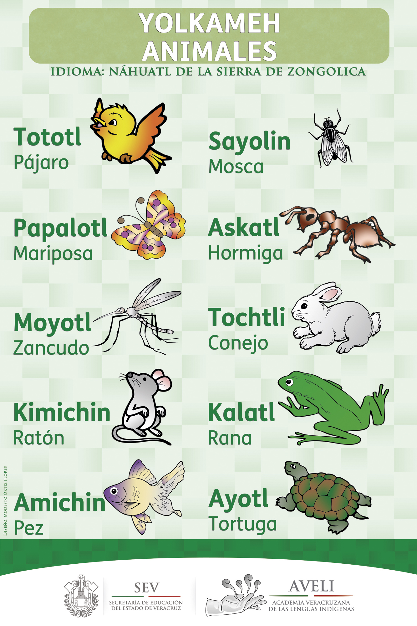 Aprendamos Nahuatl de Zongolica