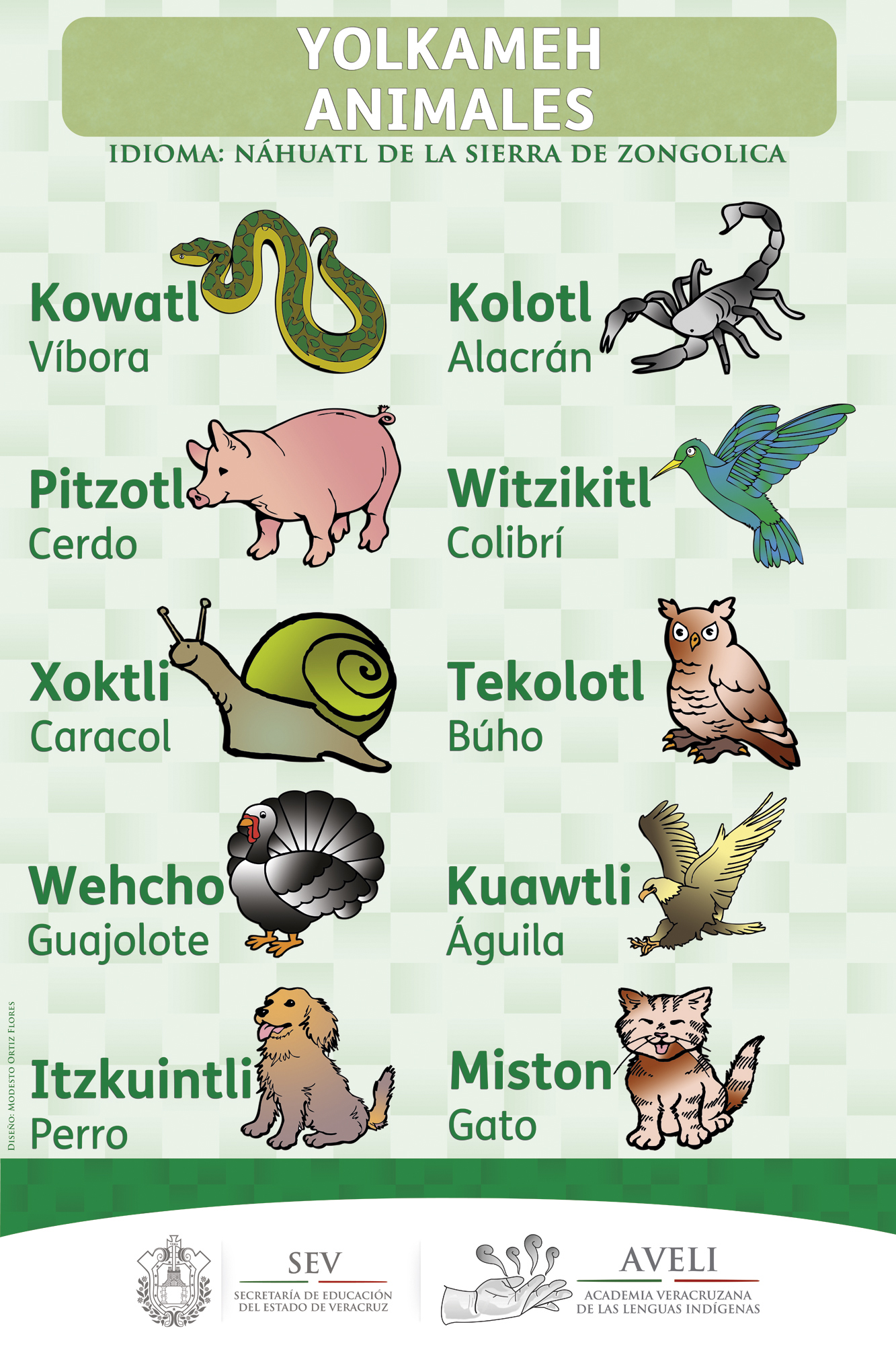 Aprendamos Nahuatl de Zongolica